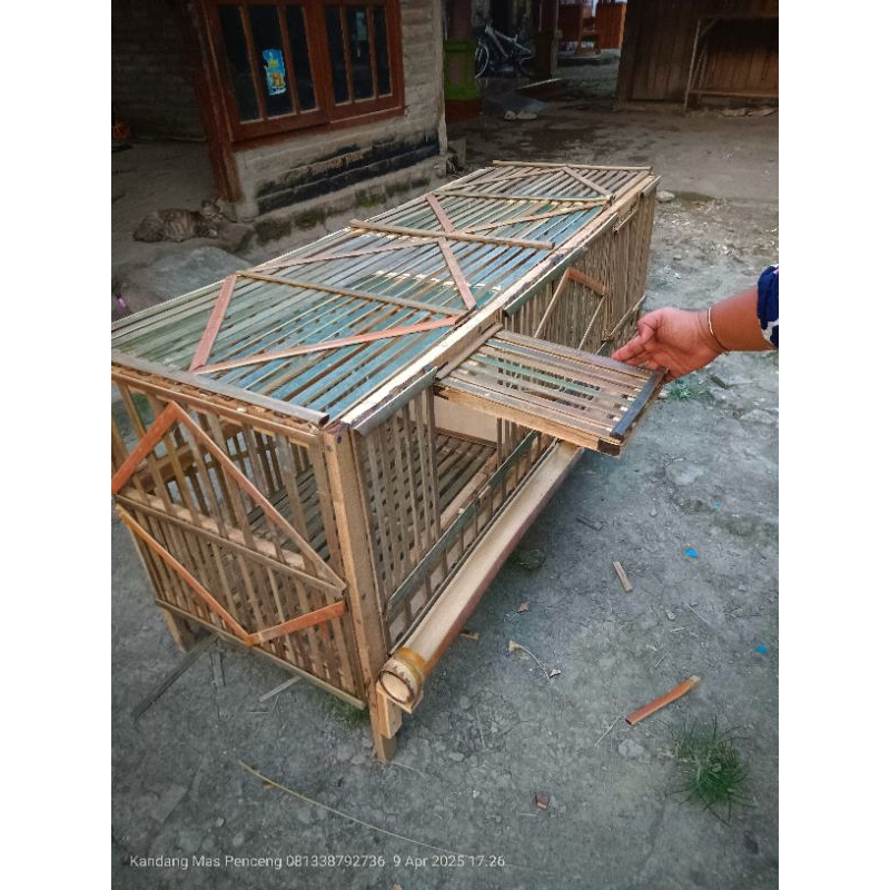 Jual Kandang ayam pembesaran isi 2 kamar dari bambu | Shopee Indonesia