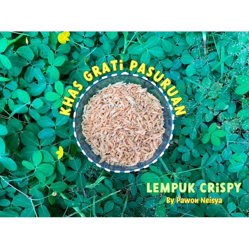 Jual Ikan Lempuk Crispy 100gr khas Danau Ranu Grati Pasuruan || camilan ...