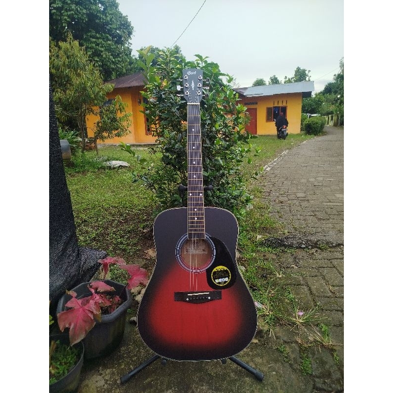 Jual gitar cort custom | Shopee Indonesia