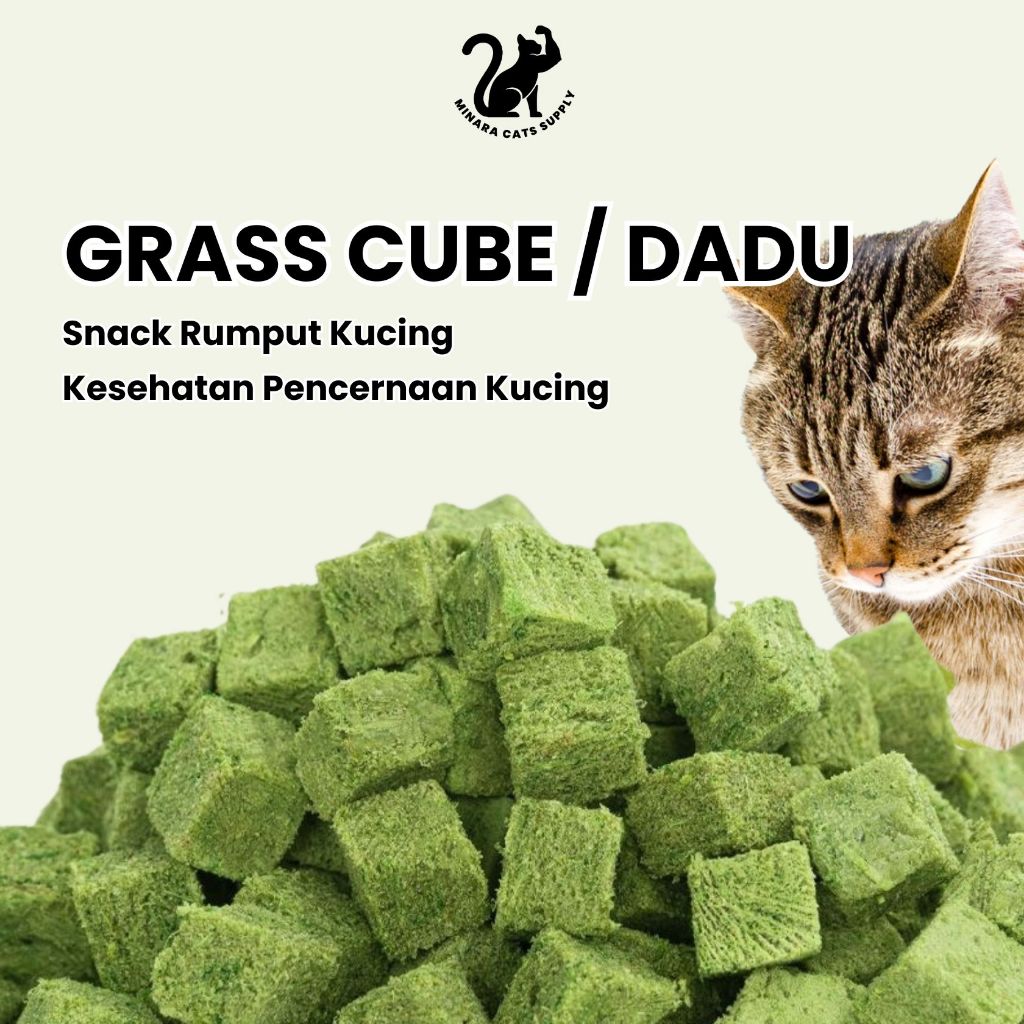Jual Cats Grass Dadu - Catnip Kucing - Cat Grass Cube - Makanan Kucing ...