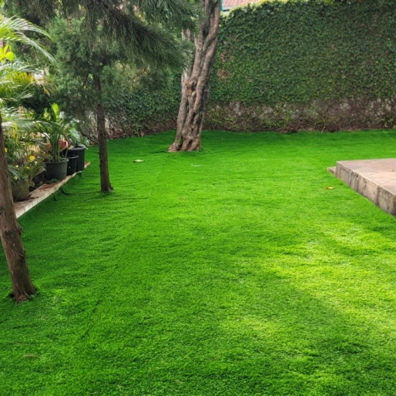 Jual Rumput Sintetis Meteran Swiss 3cm (30mm) Outdoor Indoor Hijau ...