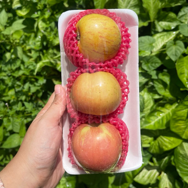 Jual BUAH PACK | Shopee Indonesia