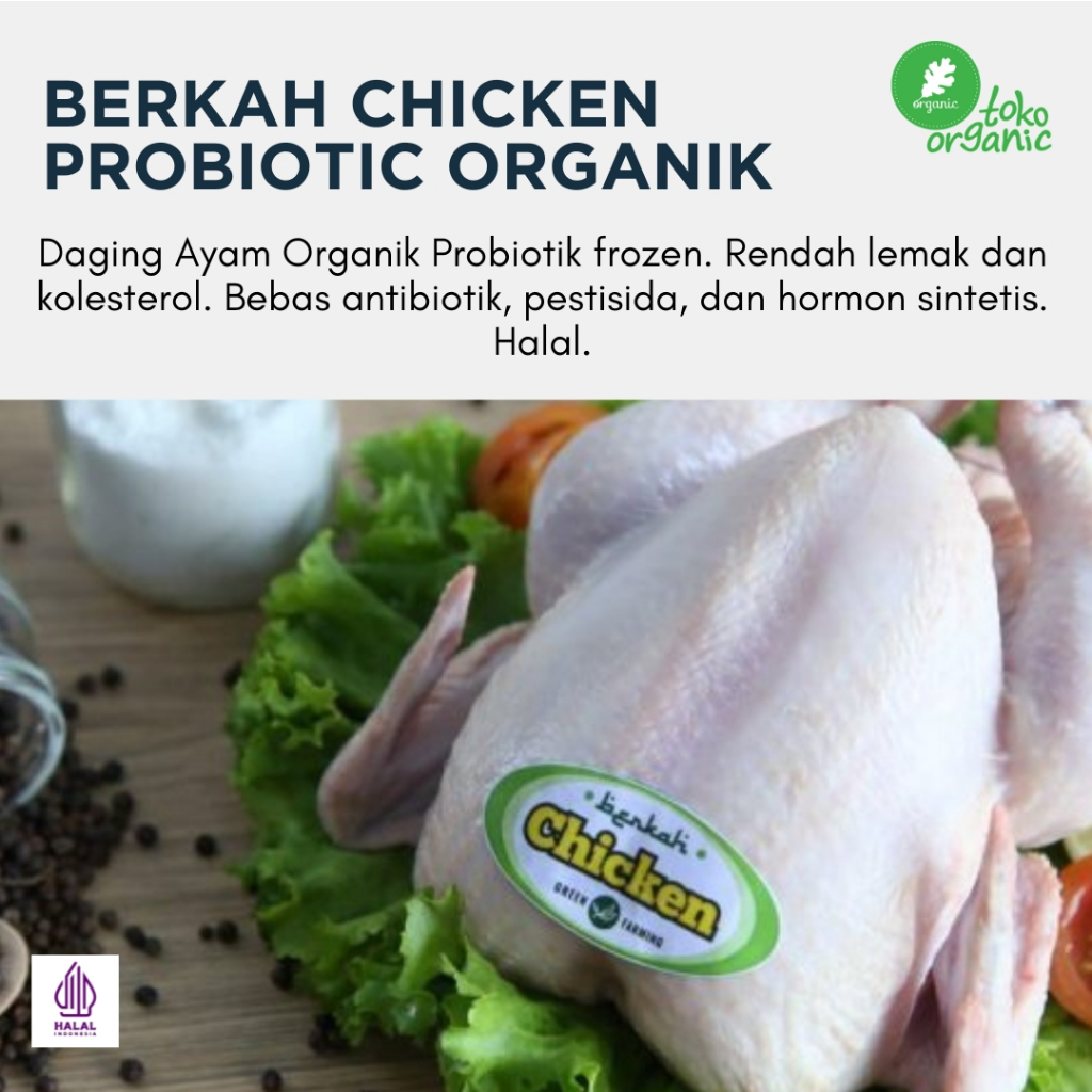 Jual Berkah Ayam Organik Probiotik | Berkah Chicken Raised With Green ...