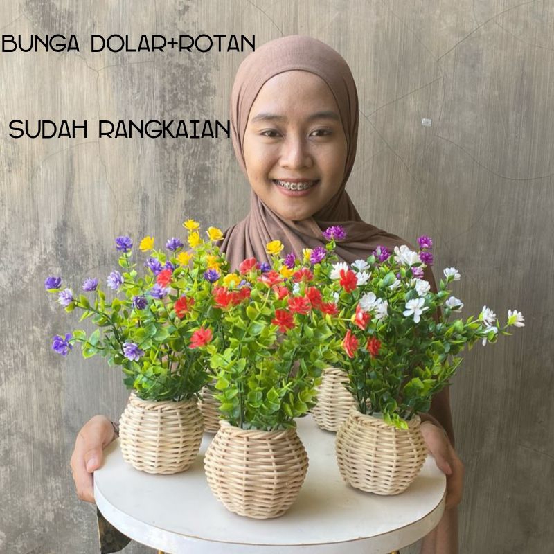 Jual Bunga Dolar Berwarna + Rotan Bunga Artificial ( Sudah Rangkaian ...