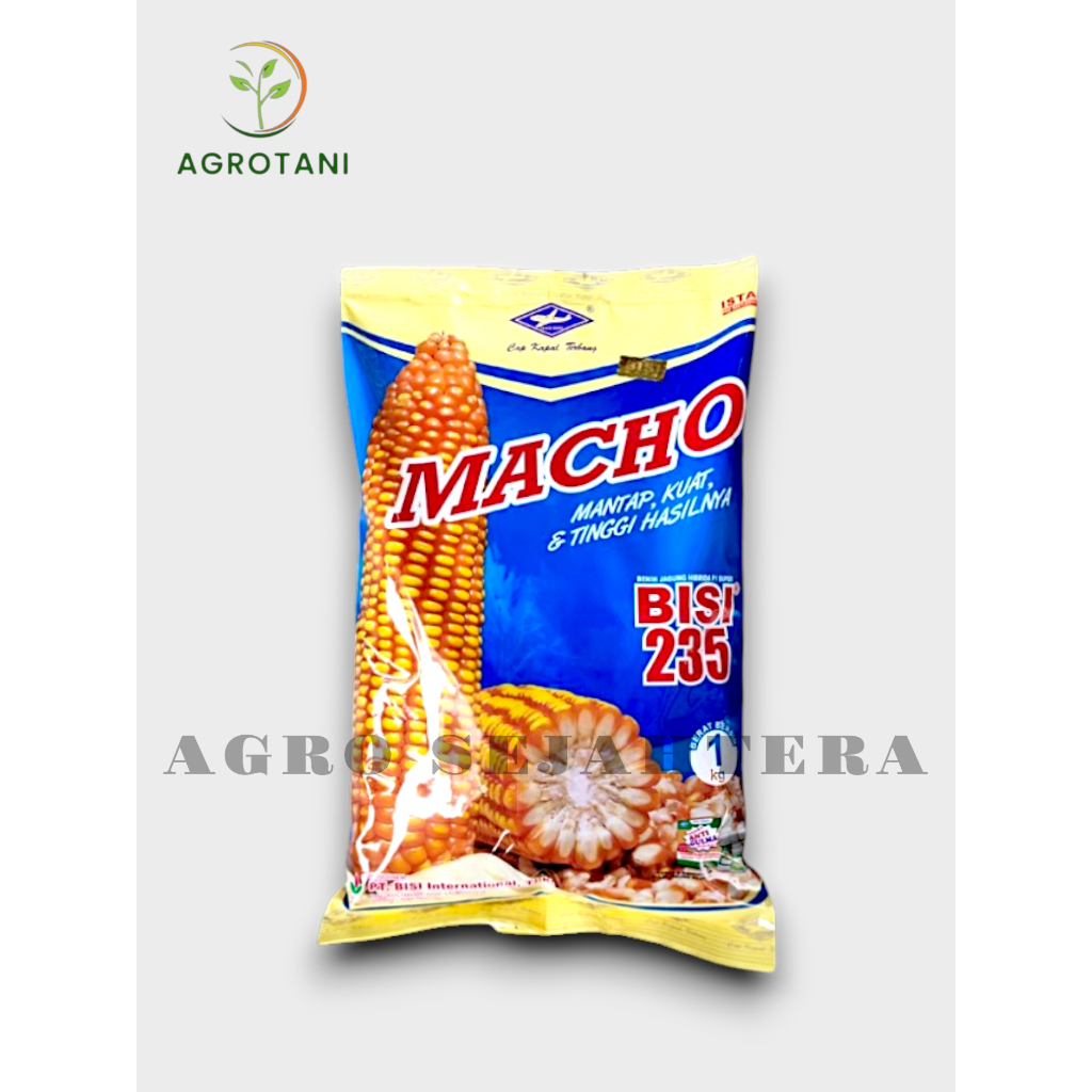 Jual Benih bibit jagung BISI 235 MACHO 1 kg original cap kapal terbang ...