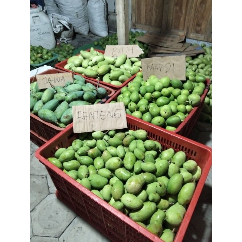 Jual Mangga muda fres seger, kres untuk rujak 1kg | Shopee Indonesia