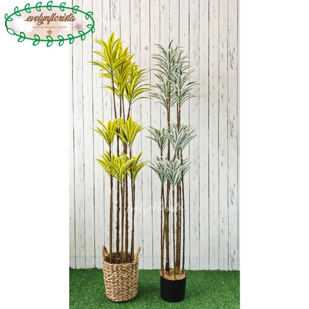 Jual Pohon Hias Artificial Song Of India T170 Variasi Warna Kuning ...