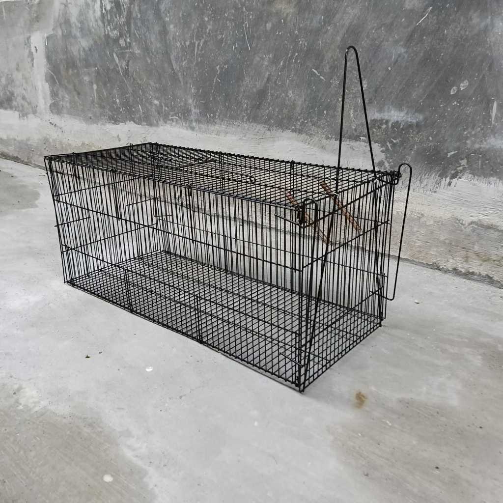 Jual PERANGKAP JEBAKAN MUSANG TUPAI BAJING BAHAN BESI KUAT UKURAN P ...