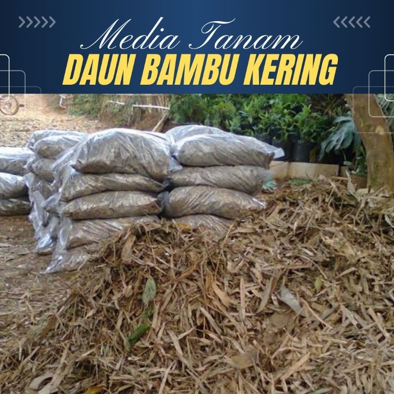 Jual Daun Bambu Kering Untuk Media Tanam 500 Gram | Shopee Indonesia