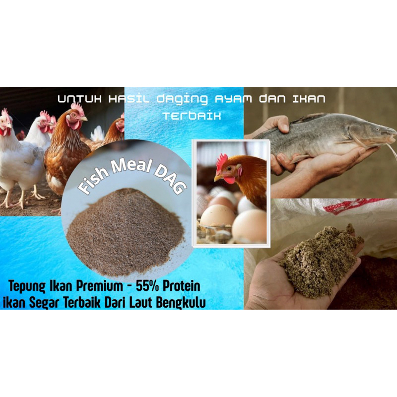 Jual TEPUNG IKAN Murni Protein Tinggi | PAKAN TERNAK Ayam, Sapi, Ikan |1 Kg | Shopee Indonesia