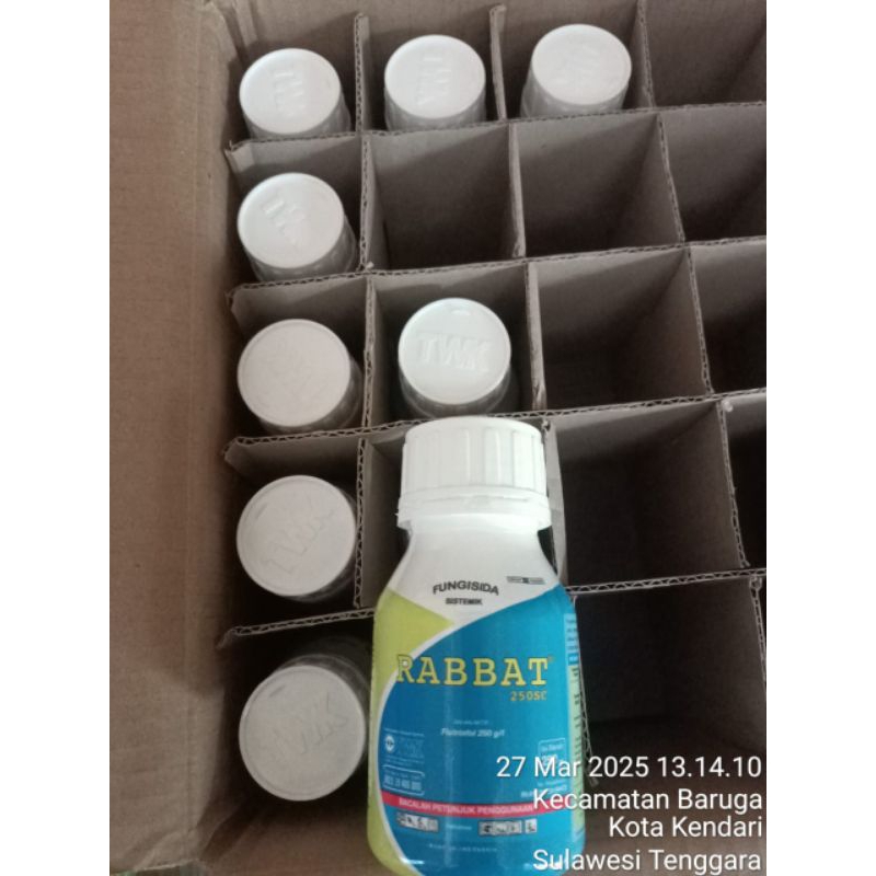 Jual Rabbat 100 Ml | Shopee Indonesia