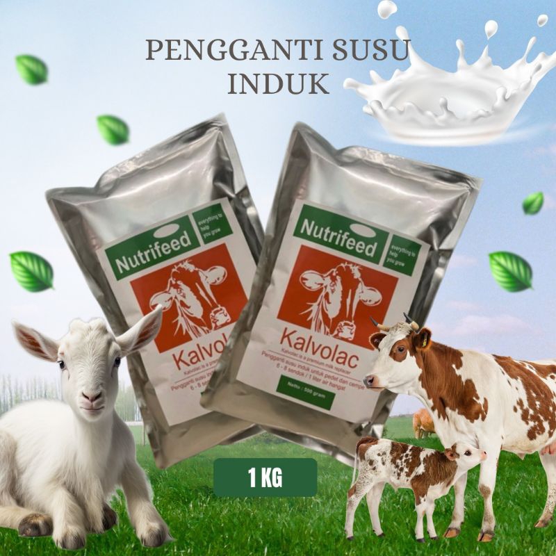 Jual Susu Kalvolac Nutrifeed PREMIUM ORIGINAL 2 pcs Pengganti Susu ...