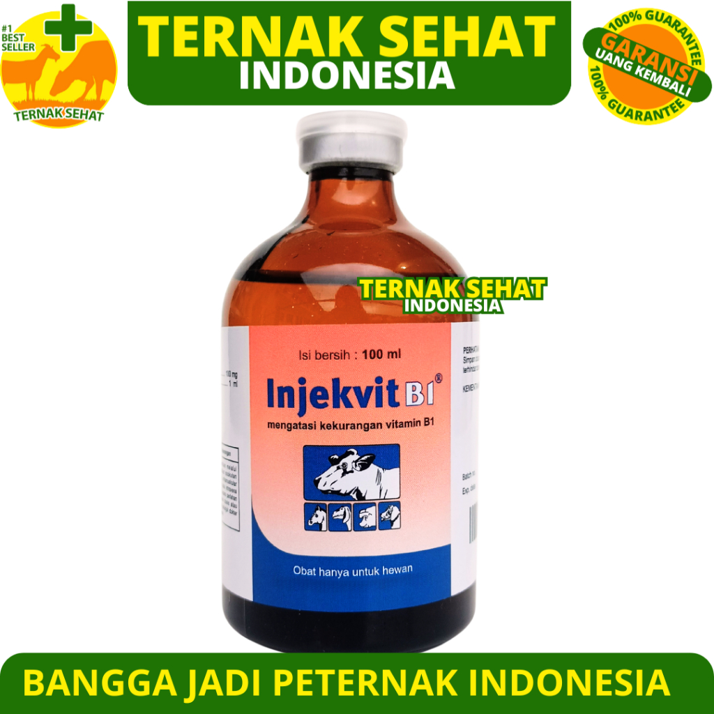 Jual INJEKVIT B1 100ML - Vitamin B1 hewan Sapi Kuda Babi Kambing Ayam ...