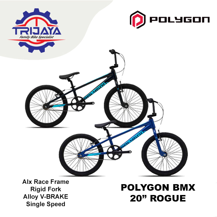Jual Polygon Rogue Sepeda BMX Anak 20 inch | Shopee Indonesia