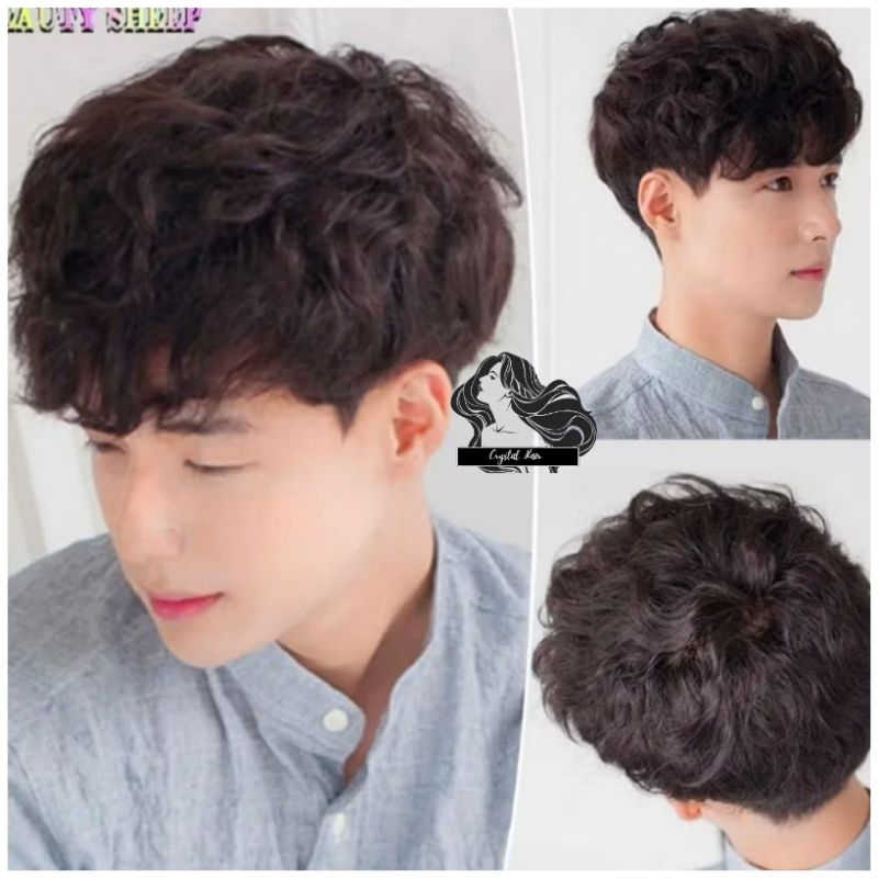 Jual Wig Pria Rambut Pendek Ikal Dengan Poni Ikal Warna Hitam Natural ...