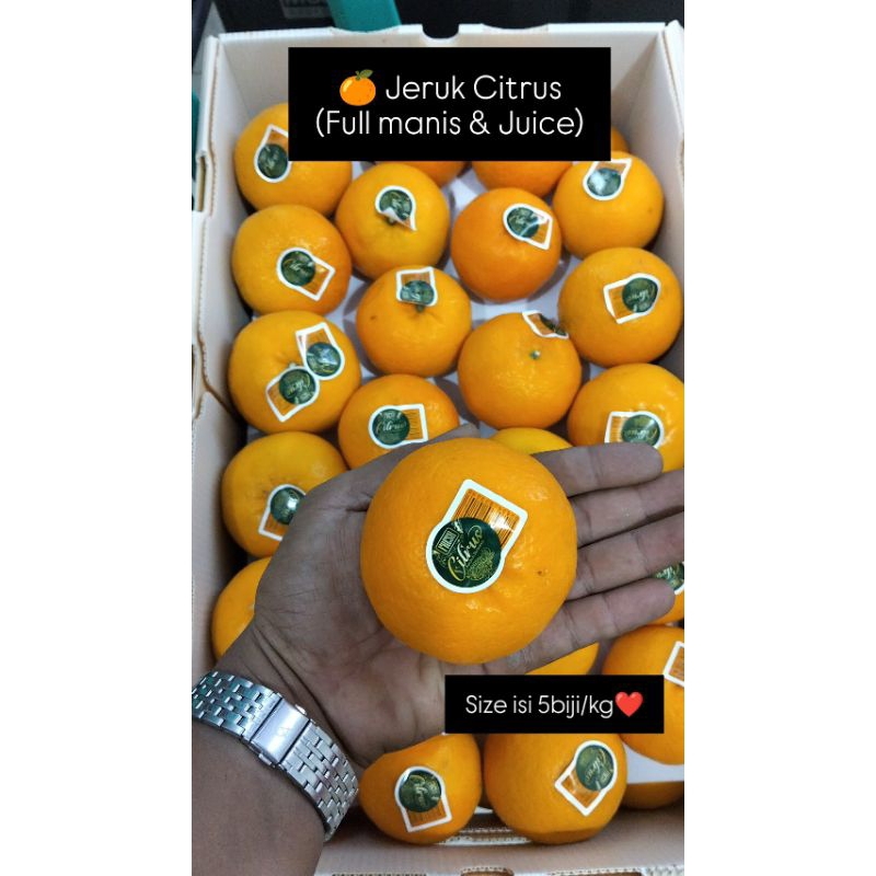Jual Jeruk Wogan // Jeruk Citrus Size Besar Full manis & Banyak Air nya ...