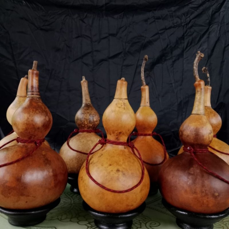 Jual Botol ramah lingkungan /botol minuman/botol dari labu botol/bottle ...