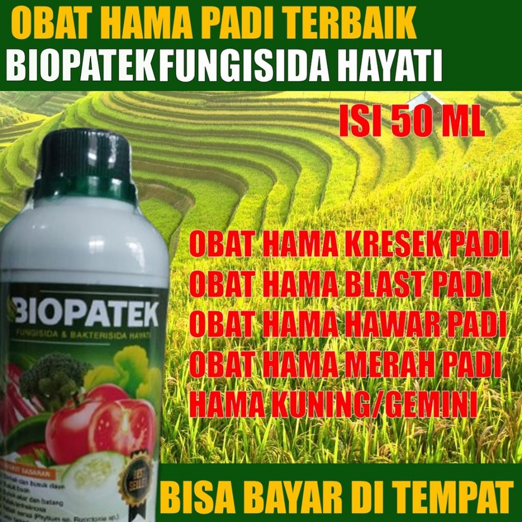 Jual BIOPATEK Fungisida Hayati Obat Hama Tanaman Padi Sawah, Anti ...