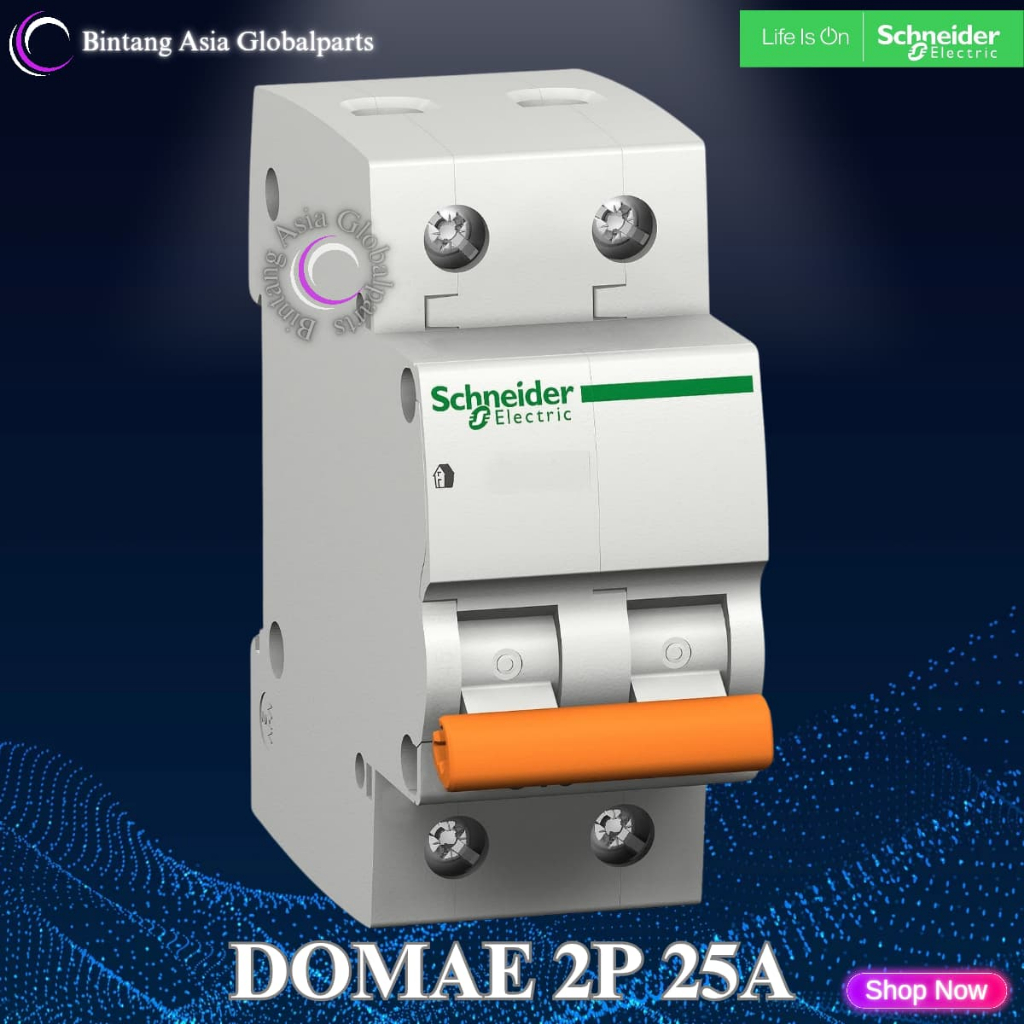 Jual MCB 2p 25a Schneider Domae Original / MCB 2 Phase 25 Ampere ...