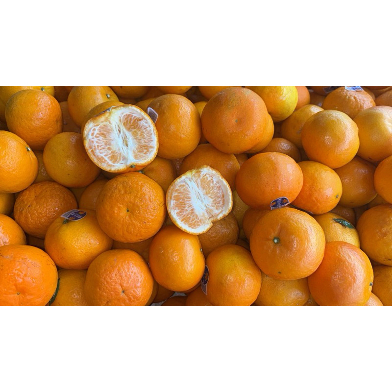 Jual Jeruk Wogan 1kg | Shopee Indonesia