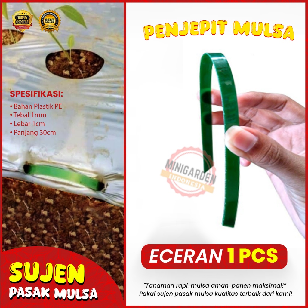 Jual SUJEN PENJEPIT MULSA 30 CM ECER 1 PCS pasak mulsa pengikat plastik ...