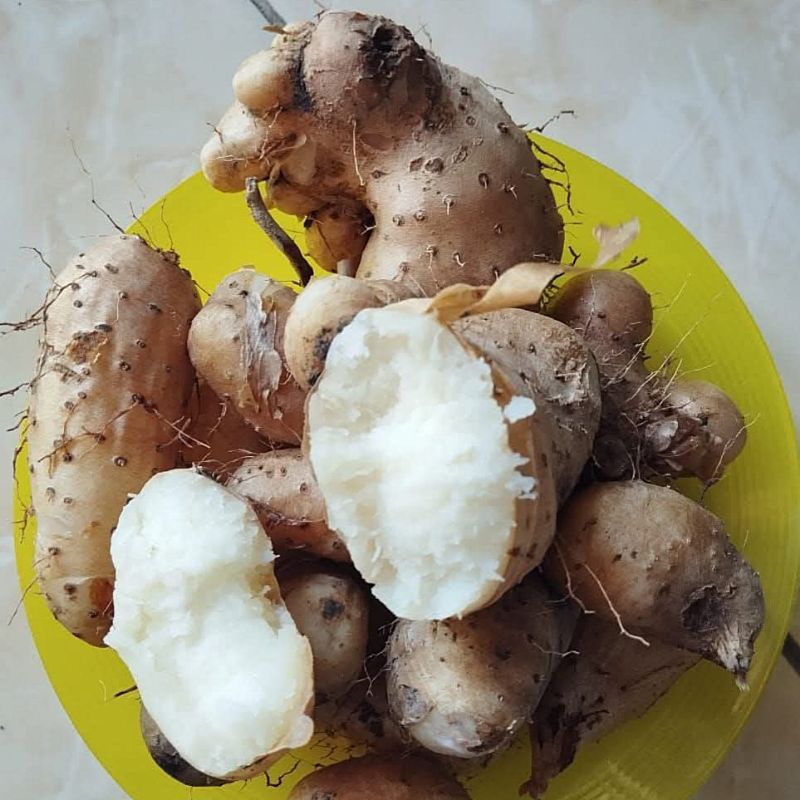 Jual Ubi gembili Ketan, mbili pulen 1kg | Shopee Indonesia
