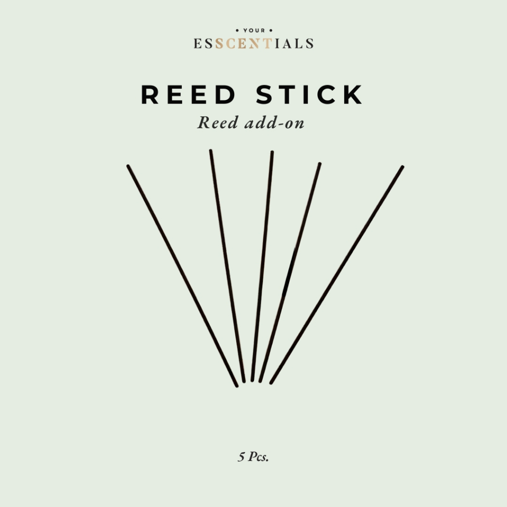 Jual Reed Stick - 5pcs | Shopee Indonesia
