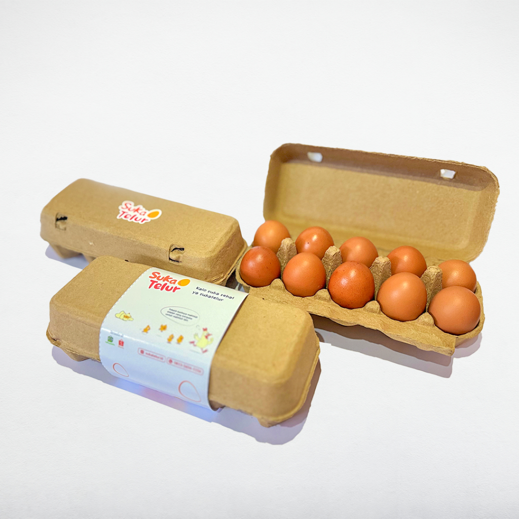 Jual Telur Omega 3 Fresh (10 Butir) - Telur Sehat Anak & Keluarga ...