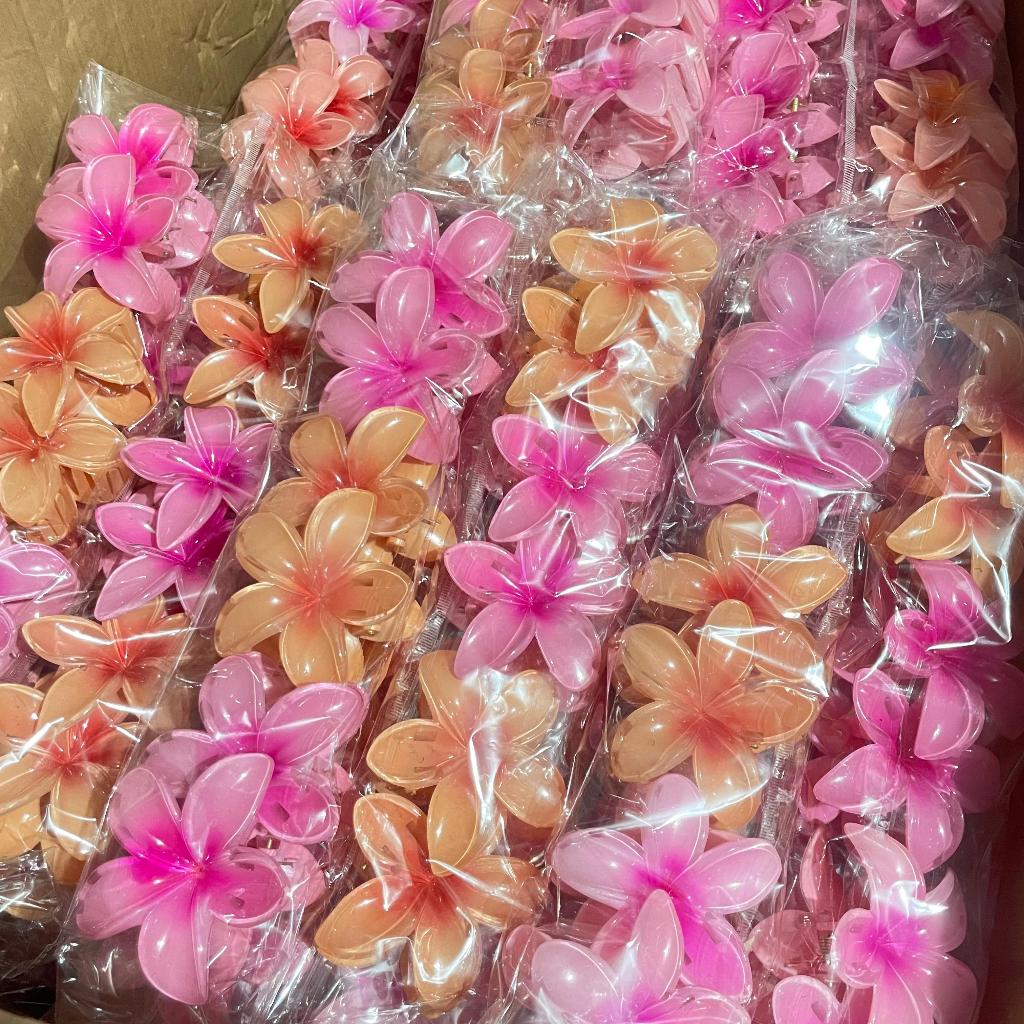 Jual PAKET USAHA JEDAI KAMBOJA PER 12 PCS - Jepit Bunga Bali Hairclip ...