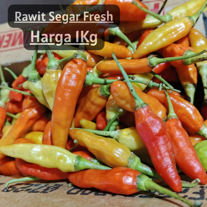 Jual Termurah Cabe Rawit fresh segar 1kg / cabe rawit merah 1kg fresh ...