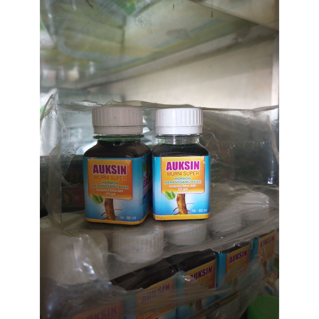 Jual AUKSIN Murni Super Hormone Perangsang Akar 60ml | Shopee Indonesia
