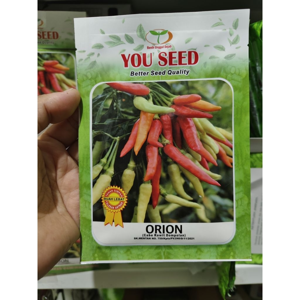 Jual TT99 Benih cabe rawit ORION 10 gram cabe rawet putih merunduk ...