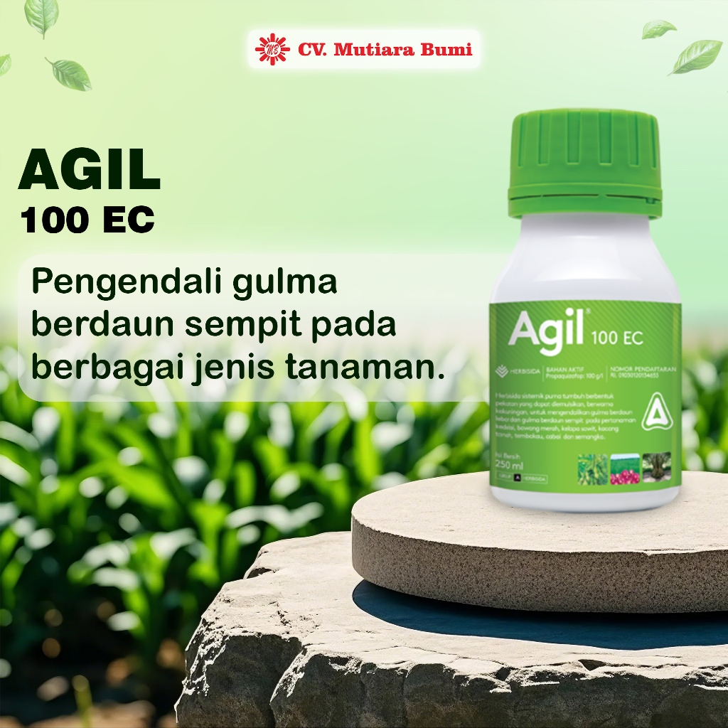 Jual Herbisida Agil 100 EC, Pengendali Gulma Terpercaya Petani ...