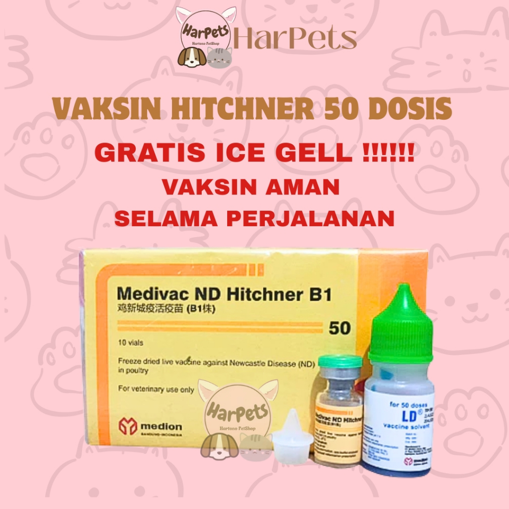 Jual VAKSIN ND HITCHNER B1 DOSIS 50 EKOR + PELARUT MEDIVAC MEDION ...