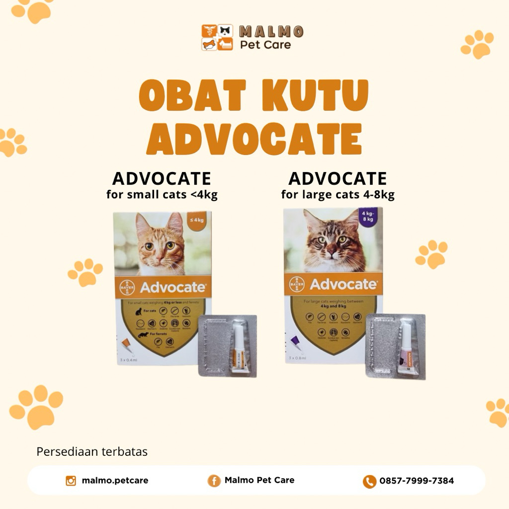 Jual PROMO Advocate Cat Spot On Obat Kutu Kucing (1 tube) - [FRESHPACK ...