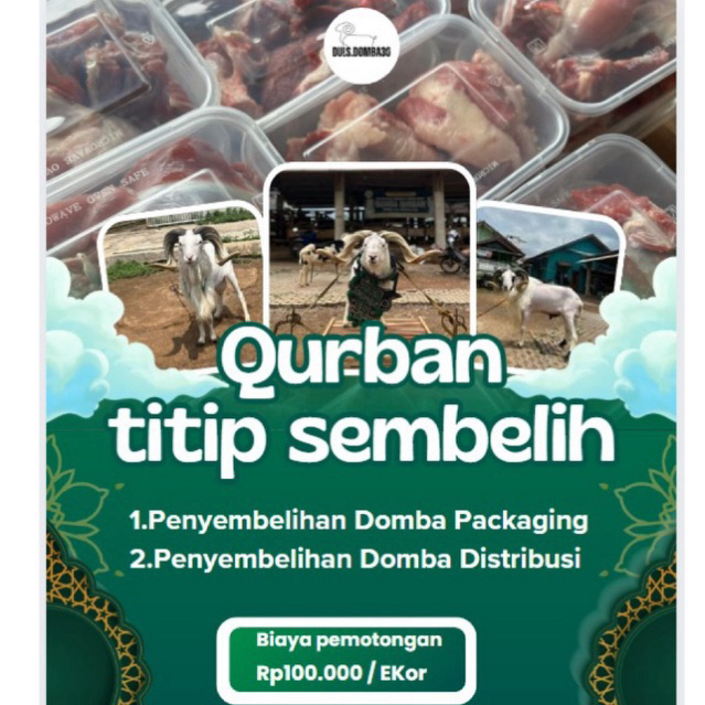Jual Domba qurban 2025 Domba hidup kambing qurban Bandung aqiqah ...