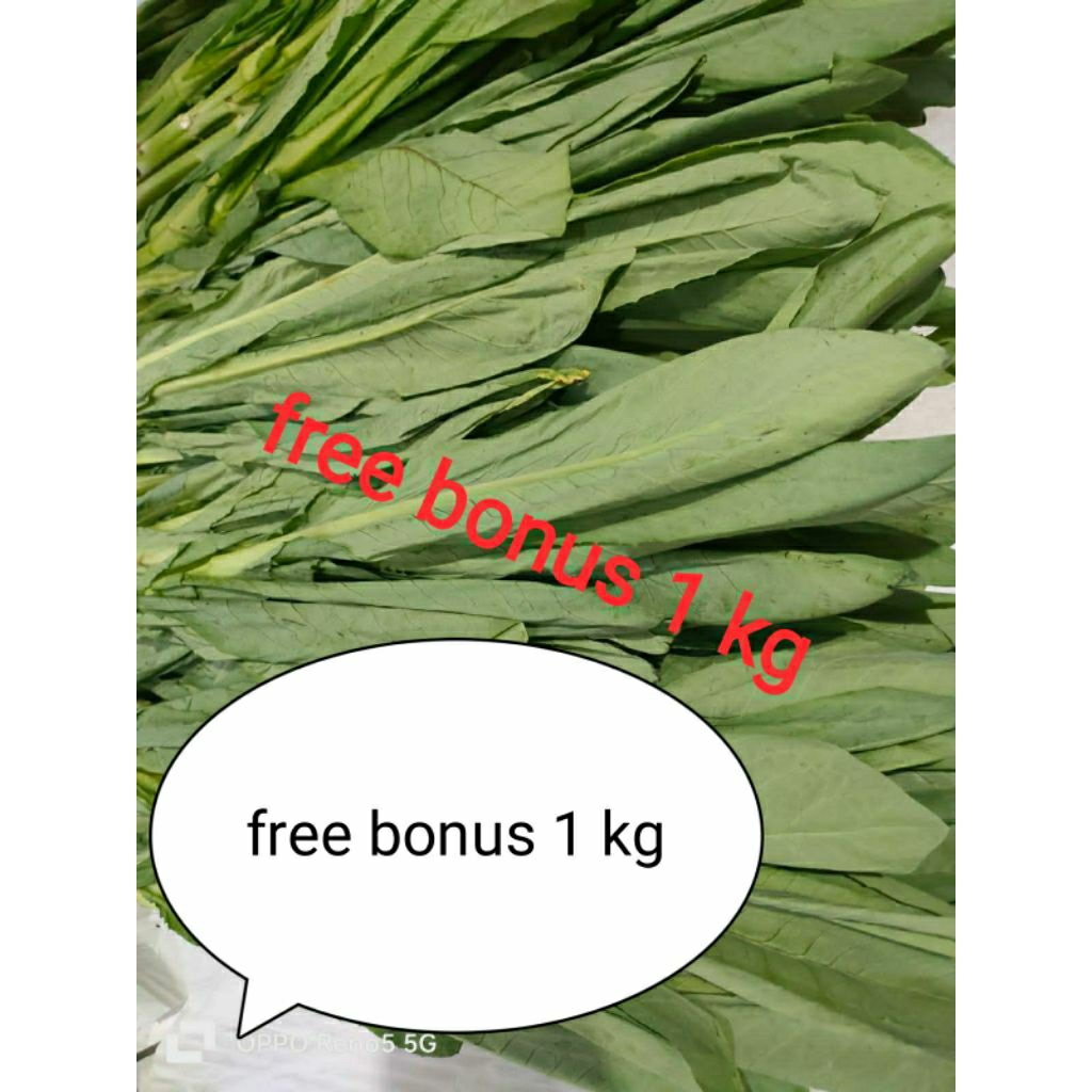Jual fumak segar 1kg + gratis bonus | Shopee Indonesia