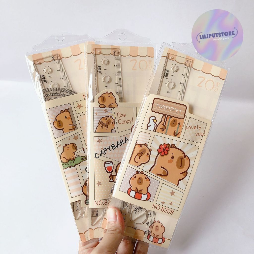 Jual Capybara Ruler Set 4in1 Pouch 20cm | Shopee Indonesia