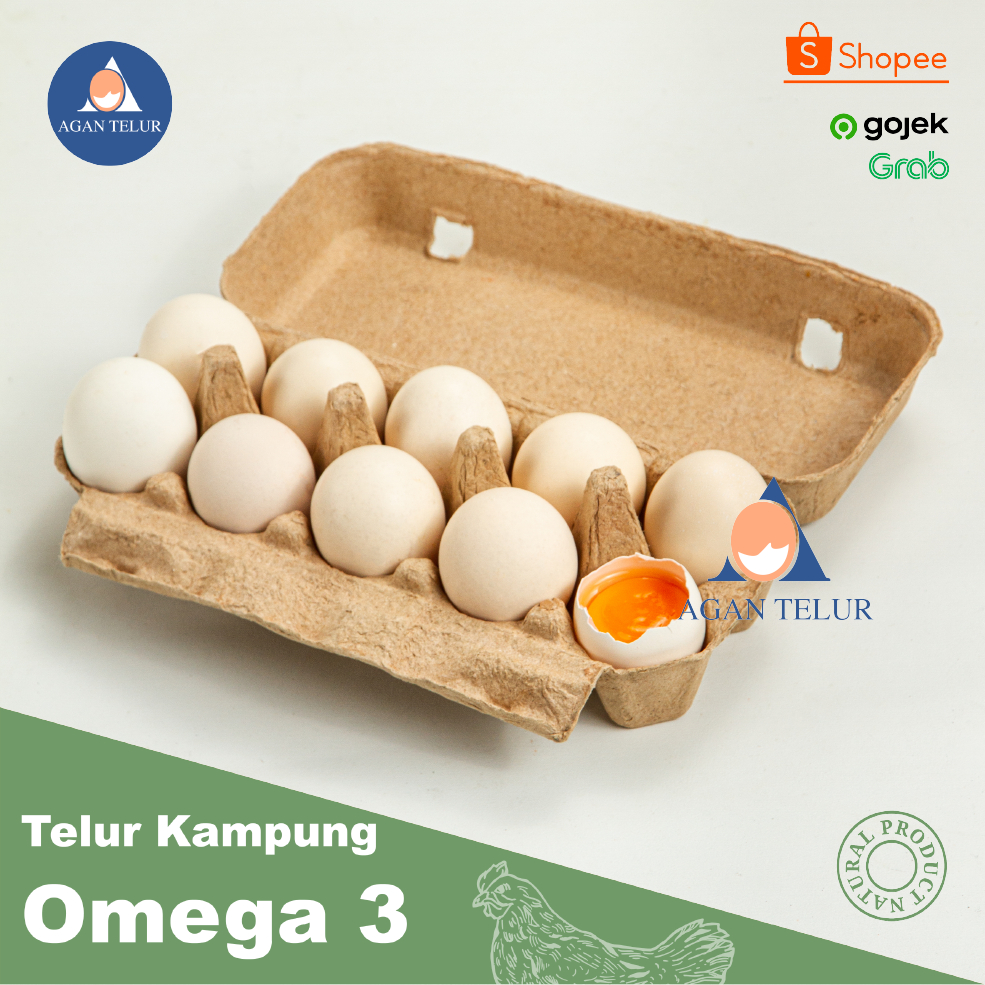 Jual TELUR AYAM KAMPUNG SUPER ISI 10 BUTIR | Shopee Indonesia