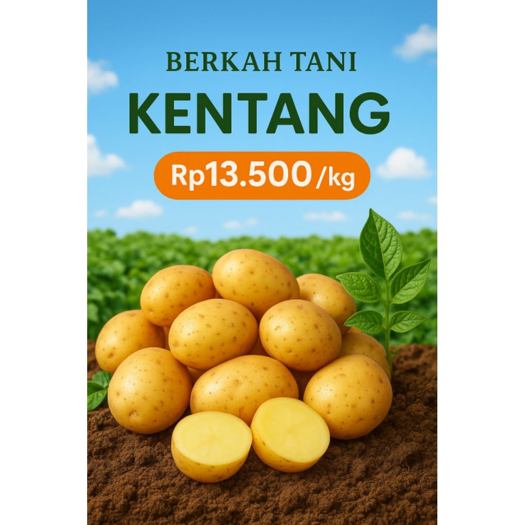 Jual Kentang Sayur Segar_Ukuran Sedang | Shopee Indonesia