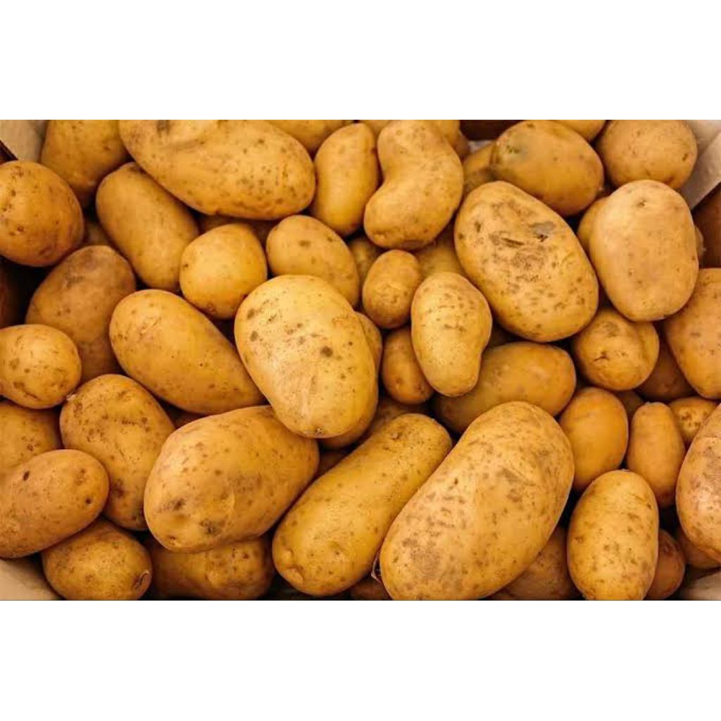 Jual kentang kuning [1 kg ] kualitas terbaik | Shopee Indonesia