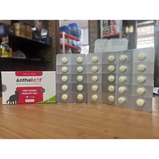 Jual anthel cat obat cacing kucing isi 30tablets Obat Cacing Kucing BY ...