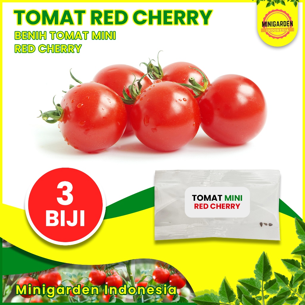 Jual BENIH TOMAT MINI MERAH RED CHERRY 3 BIJI bibit sayur buah tomat ...