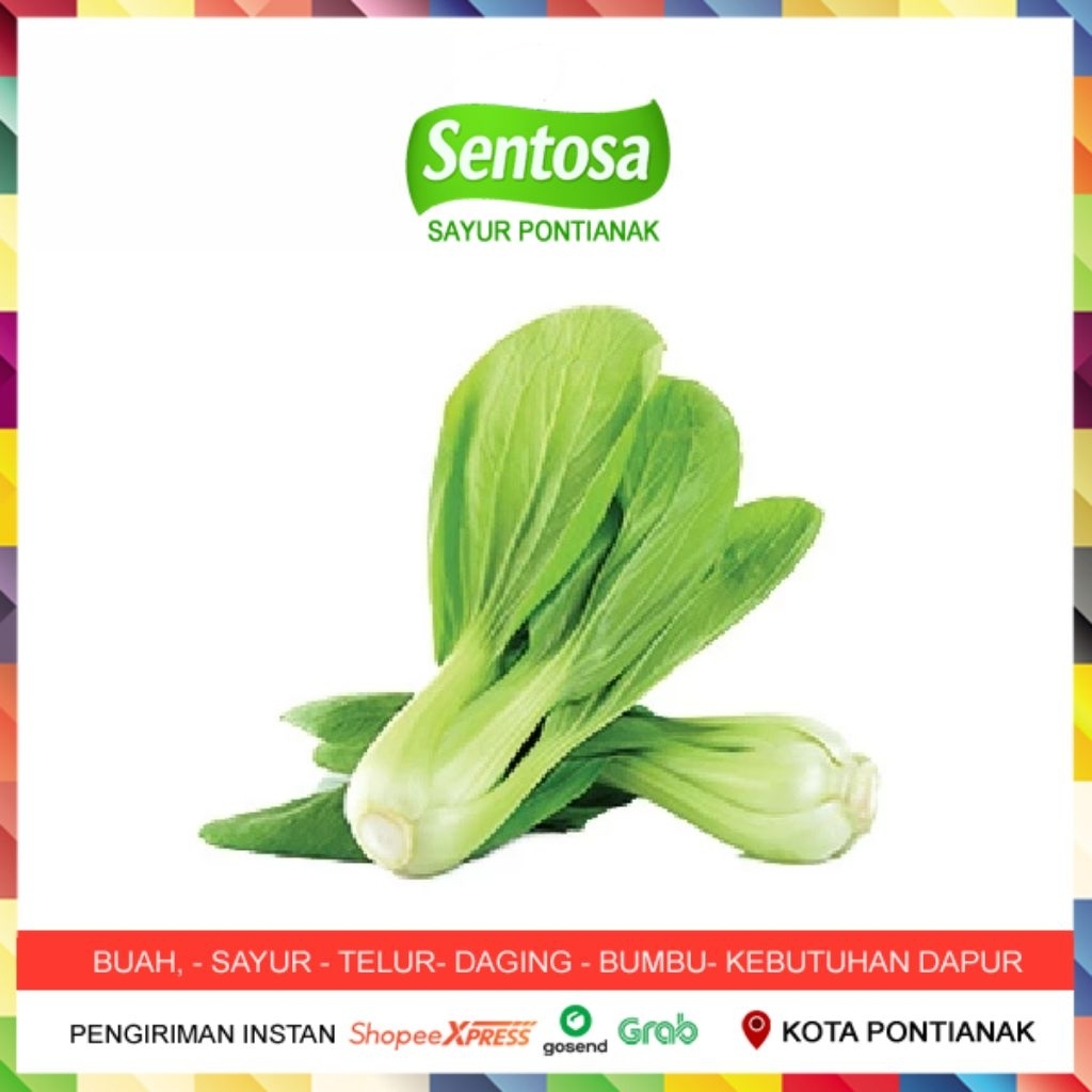 Jual Pakcoy / Pokcoy / Sawi Sendok 100 gram Sentosa Sayur Pontianak ...