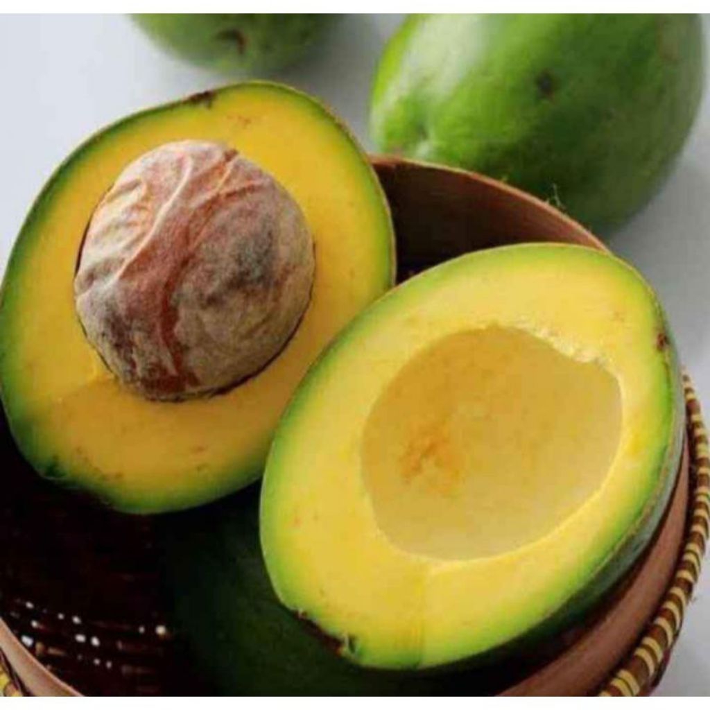 Jual Alpukat mentega super 1kg isi 4 sampai 5 | Shopee Indonesia