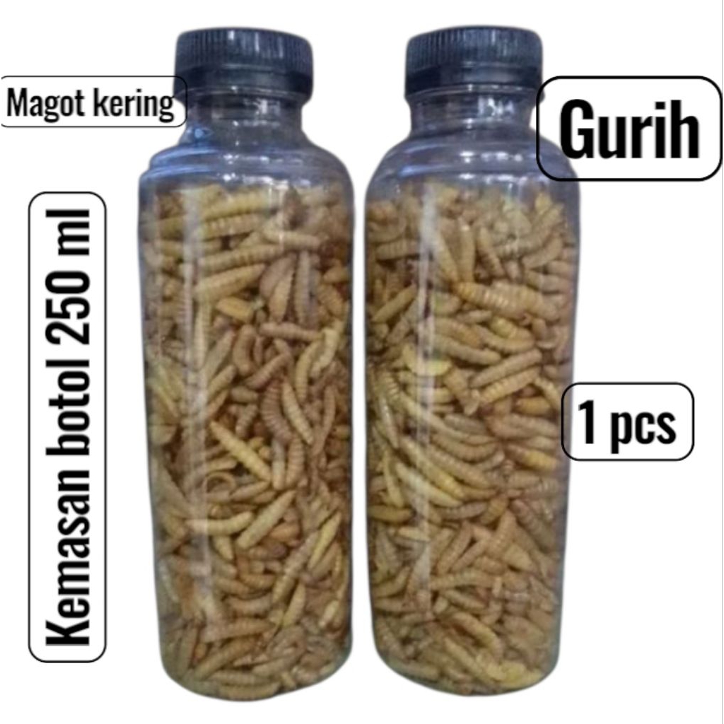 Jual Magot kering BSF/maggot kering/magot kering kemasan botol 250 ml ...