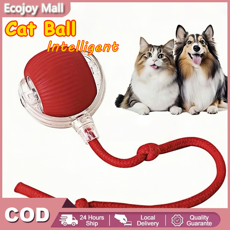 Jual Mainan Anjing Kucing Bola Pet Interaksi CerdasBuat Bola Kucing ...