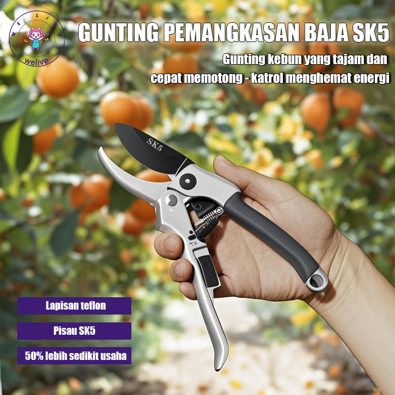 Jual GERMAN STEEL Extra Sharp Gardening Pruning Shears Gunting Dahan ...