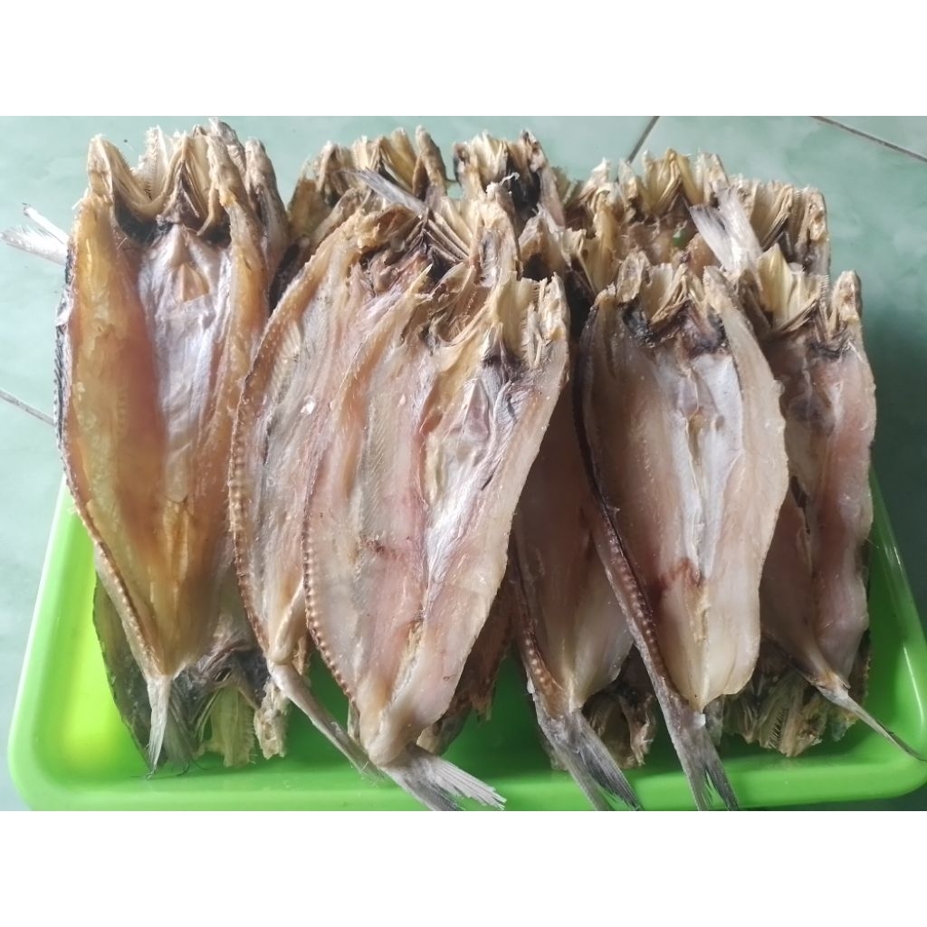 Jual Gereh asin ikan Bloso/gereh kadalan/gradak asin iwak kadalan 1KG ...