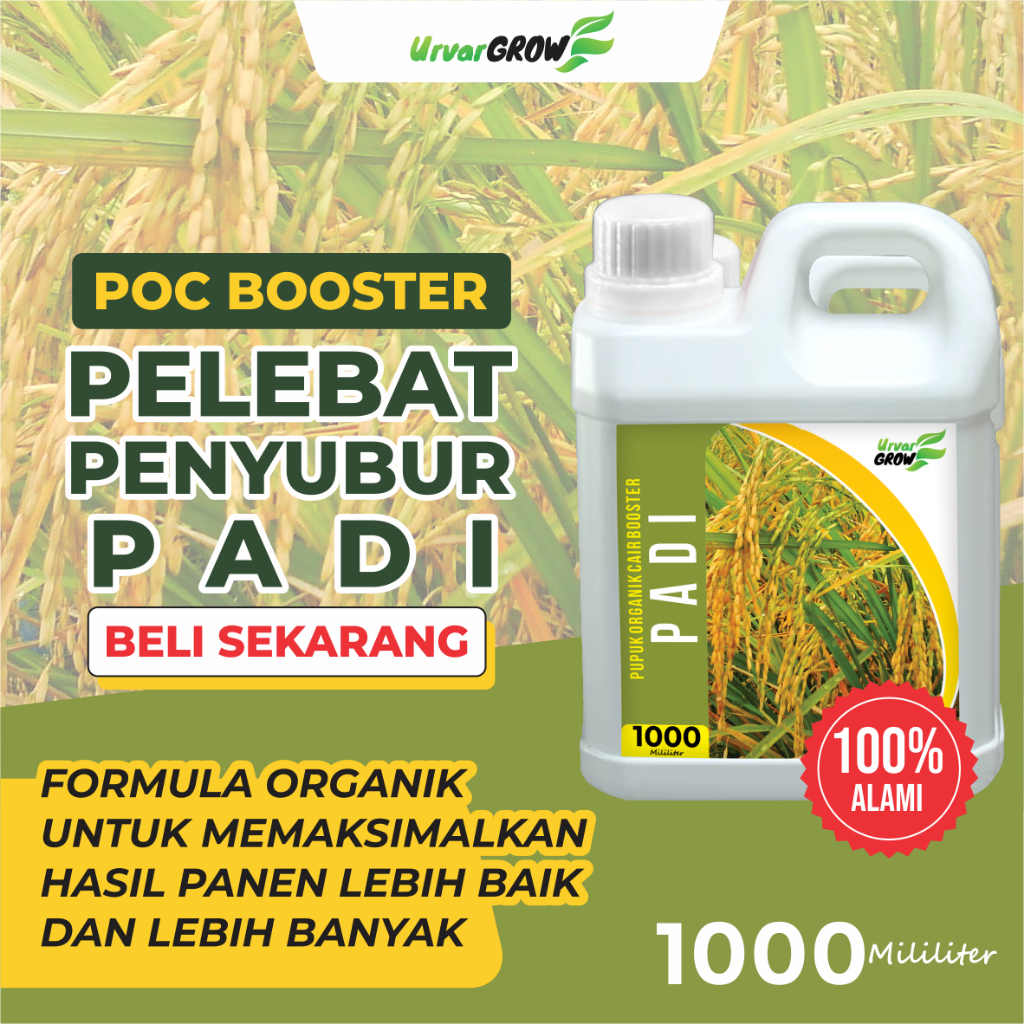Jual Pupuk Organik Cair Khusus Tanaman Padi 1Liter - Booster Panen Lebat | 100% Organik | Shopee ...